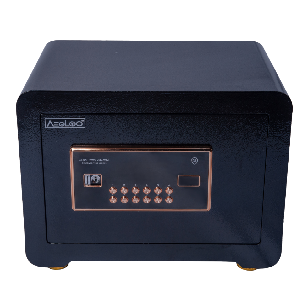 Shop Our Anti Theft Door Lock Online In Malaysia | AEGLOC